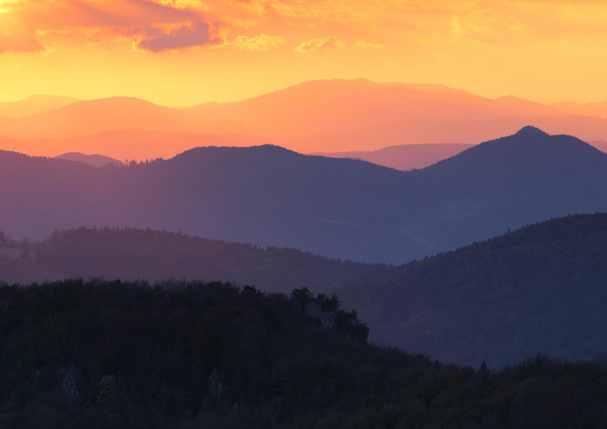 News & Insights - PIMFA Wealthtech